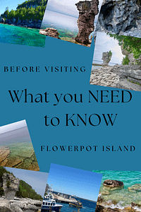 What you NEED to know before visiting the famous Flower Pot Island ...