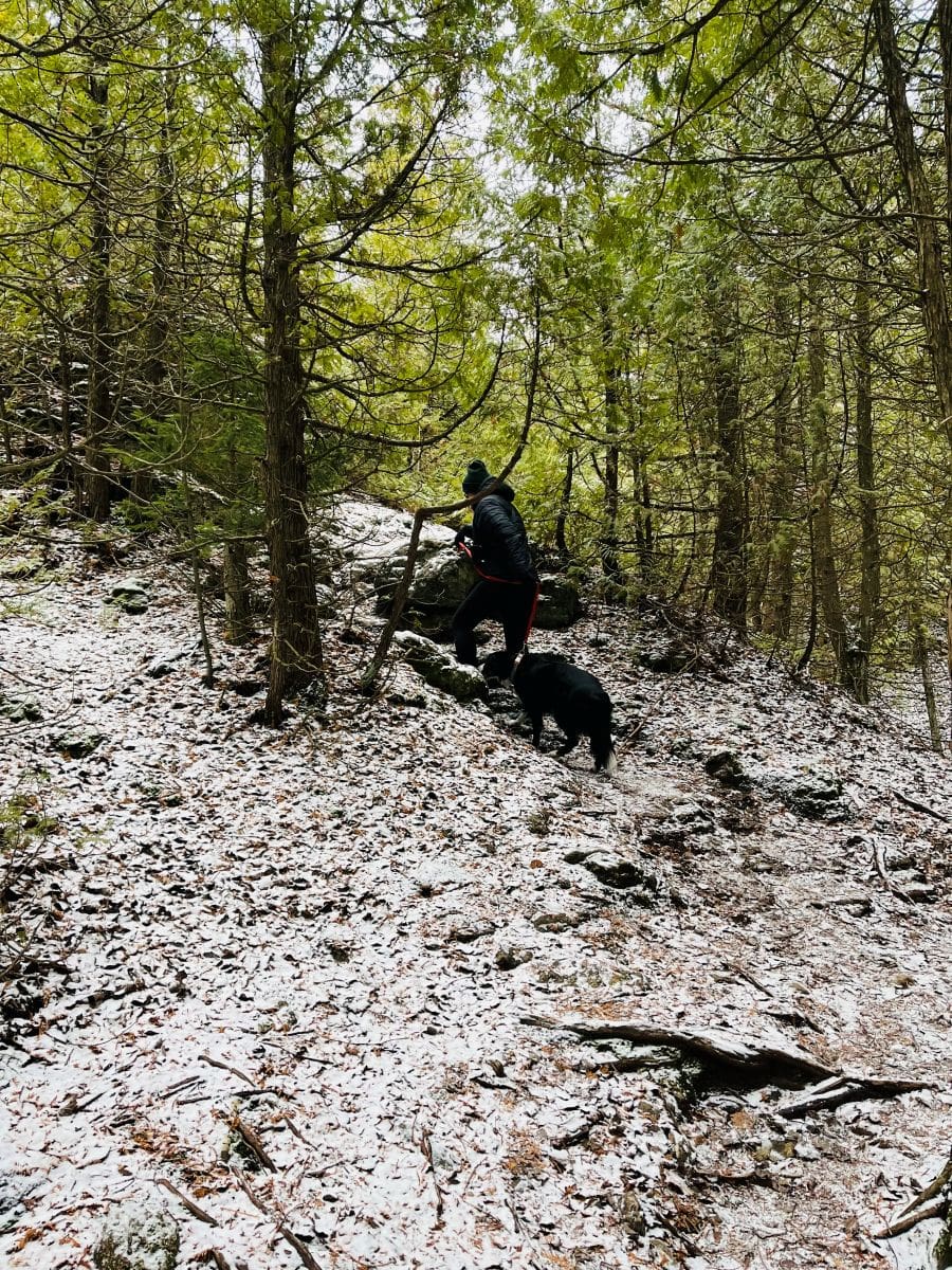 Hiking the Famous Lions Head Lookout Trail - Healthy Hiker