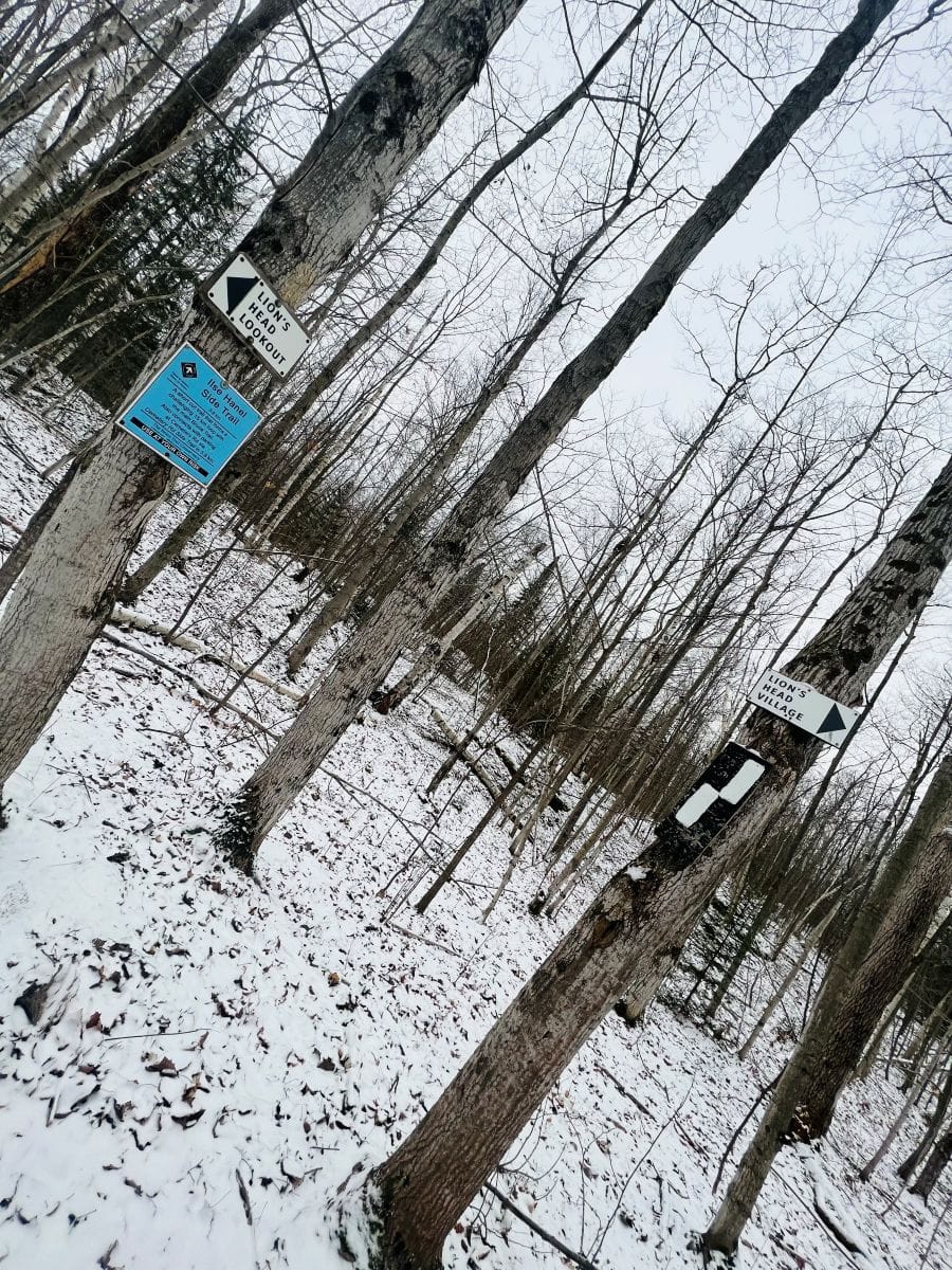 Hiking the Famous Lions Head Lookout Trail - Healthy Hiker