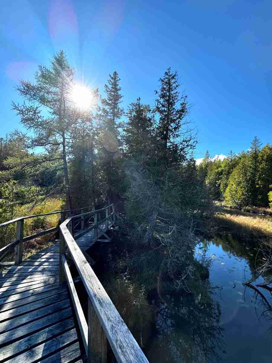 Hike the Cyprus Lake Loop in Bruce Peninsula National park