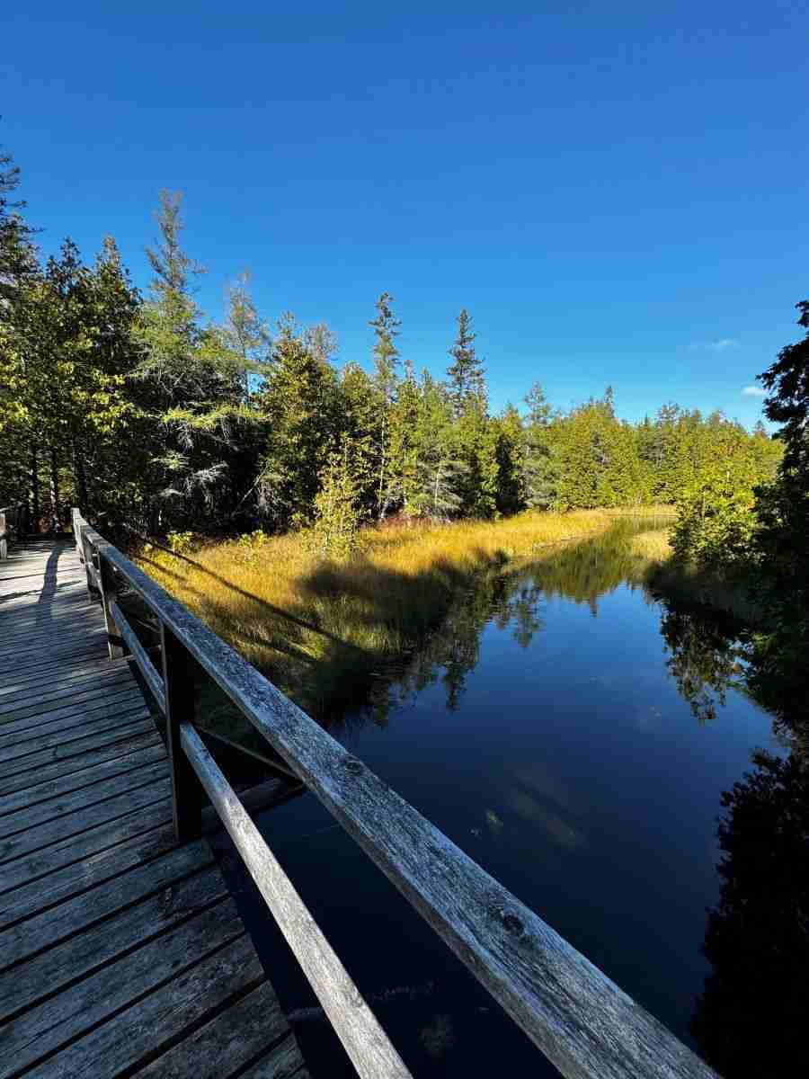 Hike the Cyprus Lake Loop in Bruce Peninsula National park