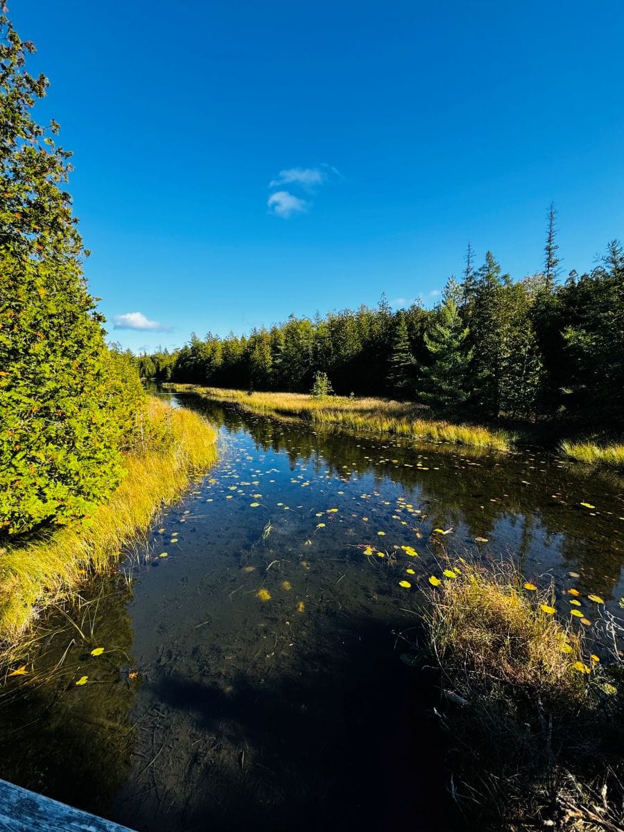 Hike the Cyprus Lake Loop in Bruce Peninsula National park