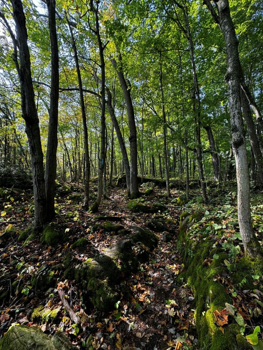 Spirit Rock Conservation -Rich in History & a little Mystery - Hike ...