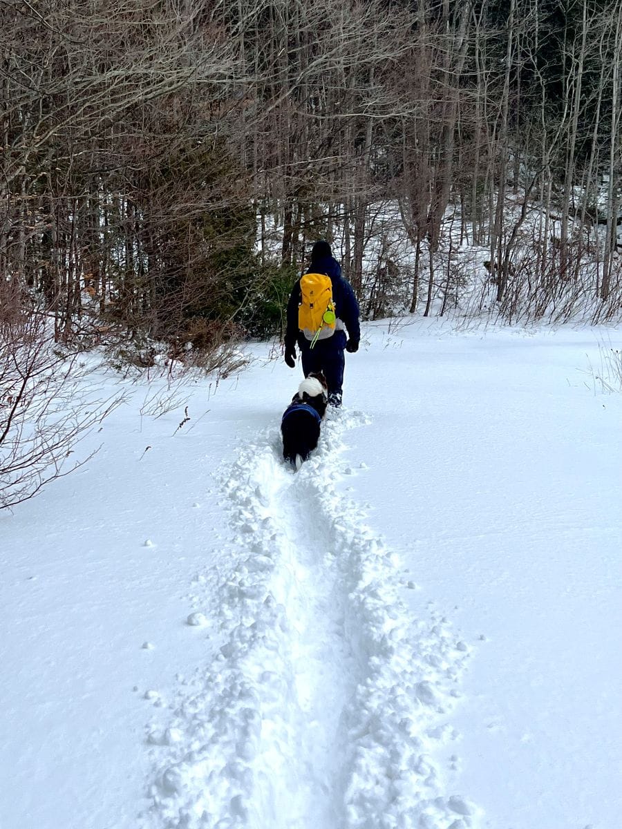 Why I love White Bluff Trail, A Bruce Trail Hike on the Bruce Peninsula ...